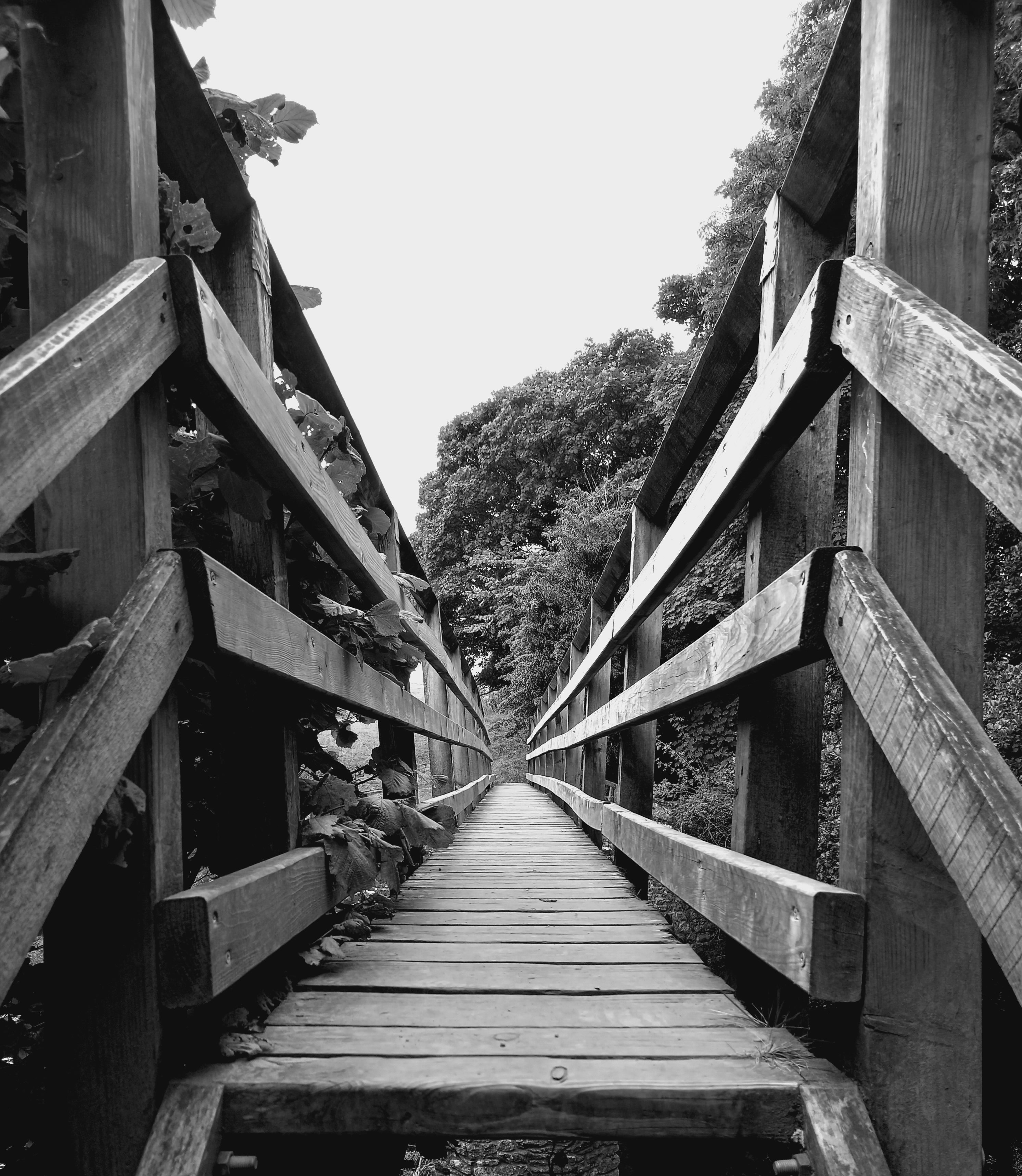 Wearily Hopeful – Sometimes it's more important to love than to always ...